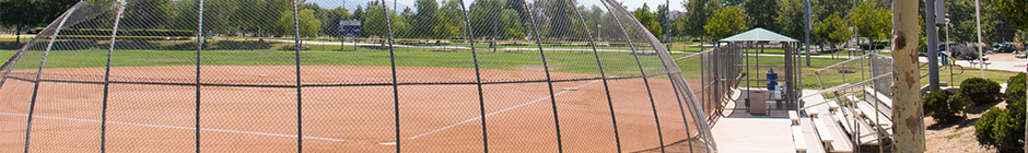 Softball - Adult Sports